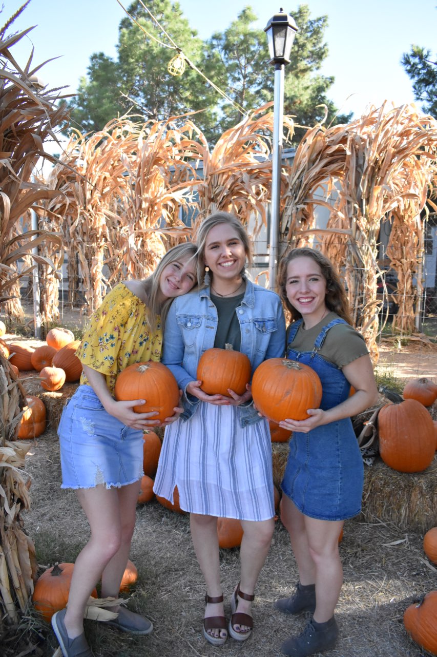 12 Arizona Pumpkin Patches, Corn Mazes & Fall Festivals 2024 | Bargain ...