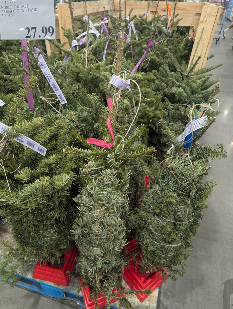 Costco Prices 2024 ~ Fresh Cut Christmas Trees (small), Wreaths ...